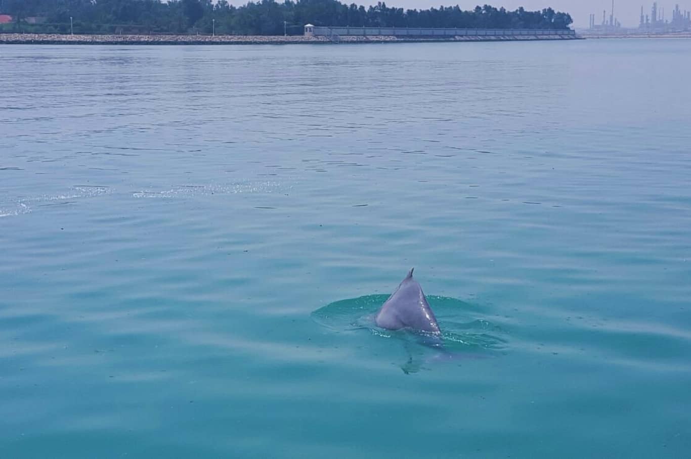 Simply Bahrain Holiday Package | Best Travel Experience